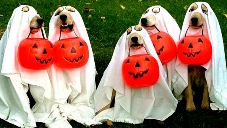 7 Fun Virtual Halloween Team Building Activities |EmpMonitor